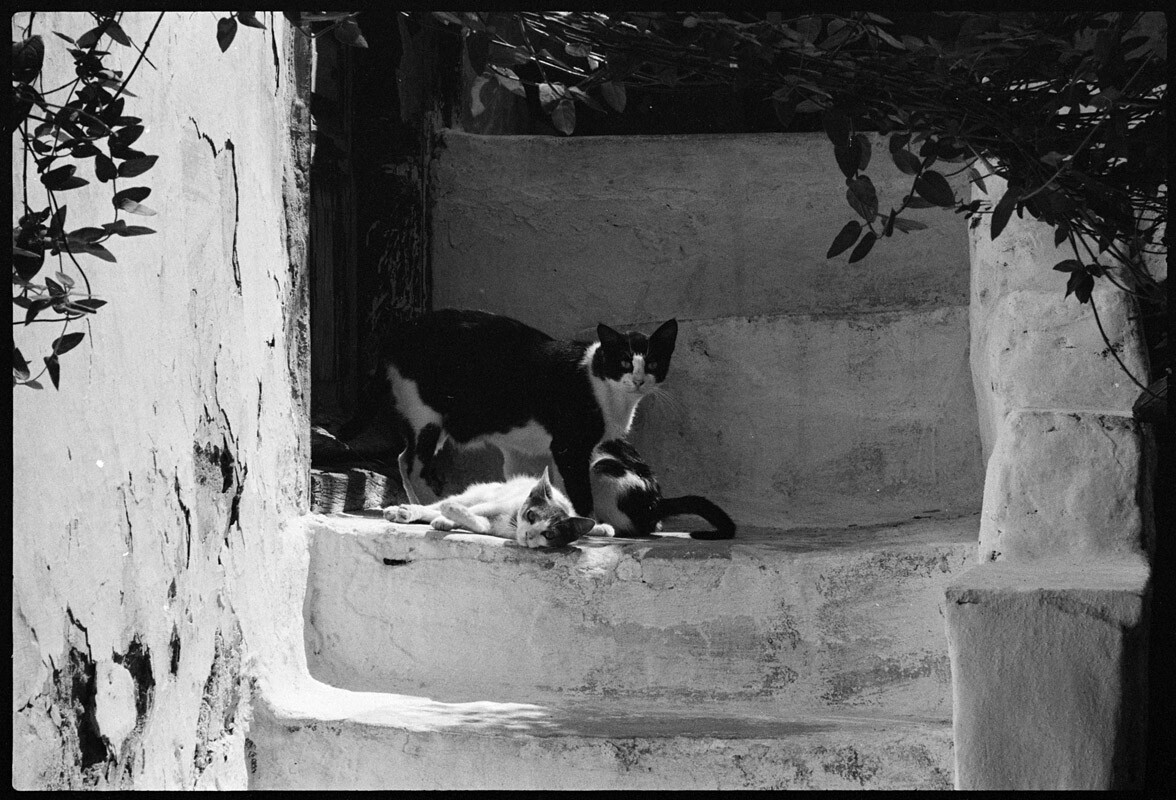 Μια βόλτα στην Αθήνα την τελευταία χρονιά της δεκαετίας του '70 | LiFO